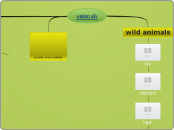 animals - Mind Map